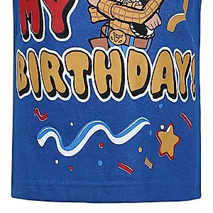 Disney Toy Story Woody Boys’ Birthday Short Sleeve T-Shirt for Toddler and Little Kids - Blue