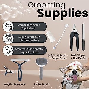 PupLuxe Puppy Starter Kit | Black 22 Piece Puppy Kit Great for Dog Training Kit | A Great Welcome Puppy Gift | New Puppy Kit Great for First Time Owners and Experience Owners | New Dog Bundle