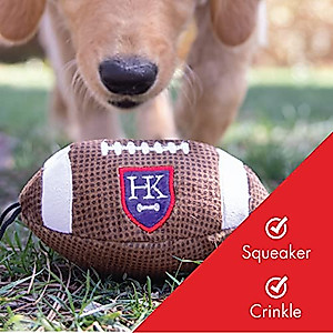 H&K for Dogs Power Plush | HK Football (Large) | Funny Dog Toy | Dog Toy with Squeaker | Dog Gift | Fun, Durable, and Safe | Squeaky Dog Toy