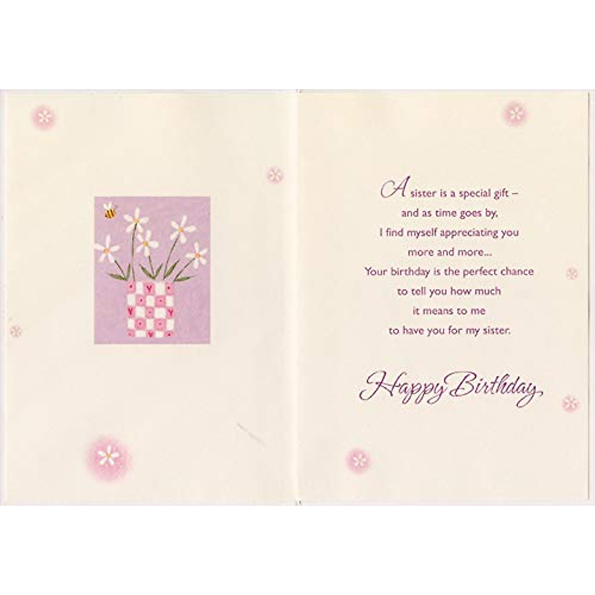 Designer Greetings Daisies in Pink and White Box with Shimmering White Sections Sister Birthday Card from Sister