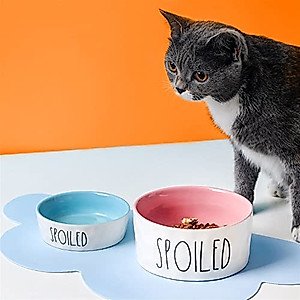 FUUIE Bowls for Food and Water Large Capacity Cat Ceramic Bowl Big Dog Food Water Feeder Pet Drink Eat Feeding Accessories Puppy Kitten Dish Bowls (Color : Blue)