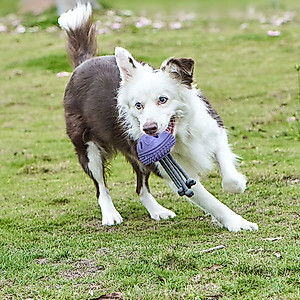 3-in-1 Dog Toy, Floating Dog Toy,Dog Water Toy for Pool & Beach, Dog Chew Teeth Cleaning Toy for Aggressive Chewers,Natural Jellyfish Leaky Food Toy for Large Medium Small Dog (2 Pack)