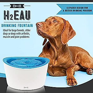ZEUS H2EAU Elevated Dog and Cat Drinking Water Fountain with Purifying Filter, 6L Capacity