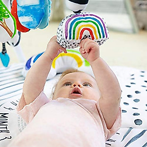 Sassy Stages STEM Developmental Play Gym, Sensory Tummy Time Activity Play Mat w/Built-in Instructions, Ultra Plush & Machine Washable Playmat for Babies & Toddlers