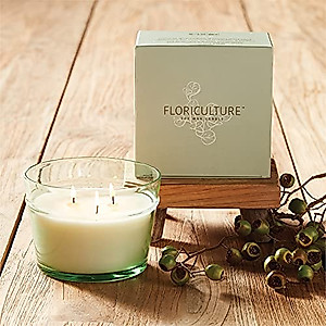 Napa Candles Collection-Floriclture Soy Wax Candle Forest Rain
