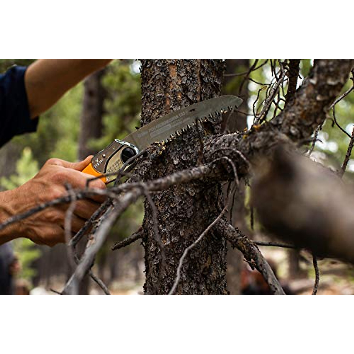 Silky Professional Series PocketBoy Curved Blade Folding Saw 130mm Large Teeth (726-13)