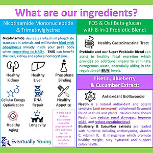 Eventually Young 12-in-1 Kidney Support for Dog & Cat with NMN & Fisetin - Super Phosphate Binder Kidney and Liver Supplement for Feline, Canine Healthy Aging & Longevity (60 Capsules)