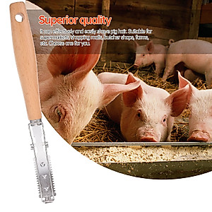 Hemoton Pig Hair Scraping Device Lame Razor Pig Hair Scraper Pork : Pig Hair Shaving Stainless Steel Meat Hair Scraper Wood Handle Blade Meat Hair Gadget Tool Meat Hair Remover