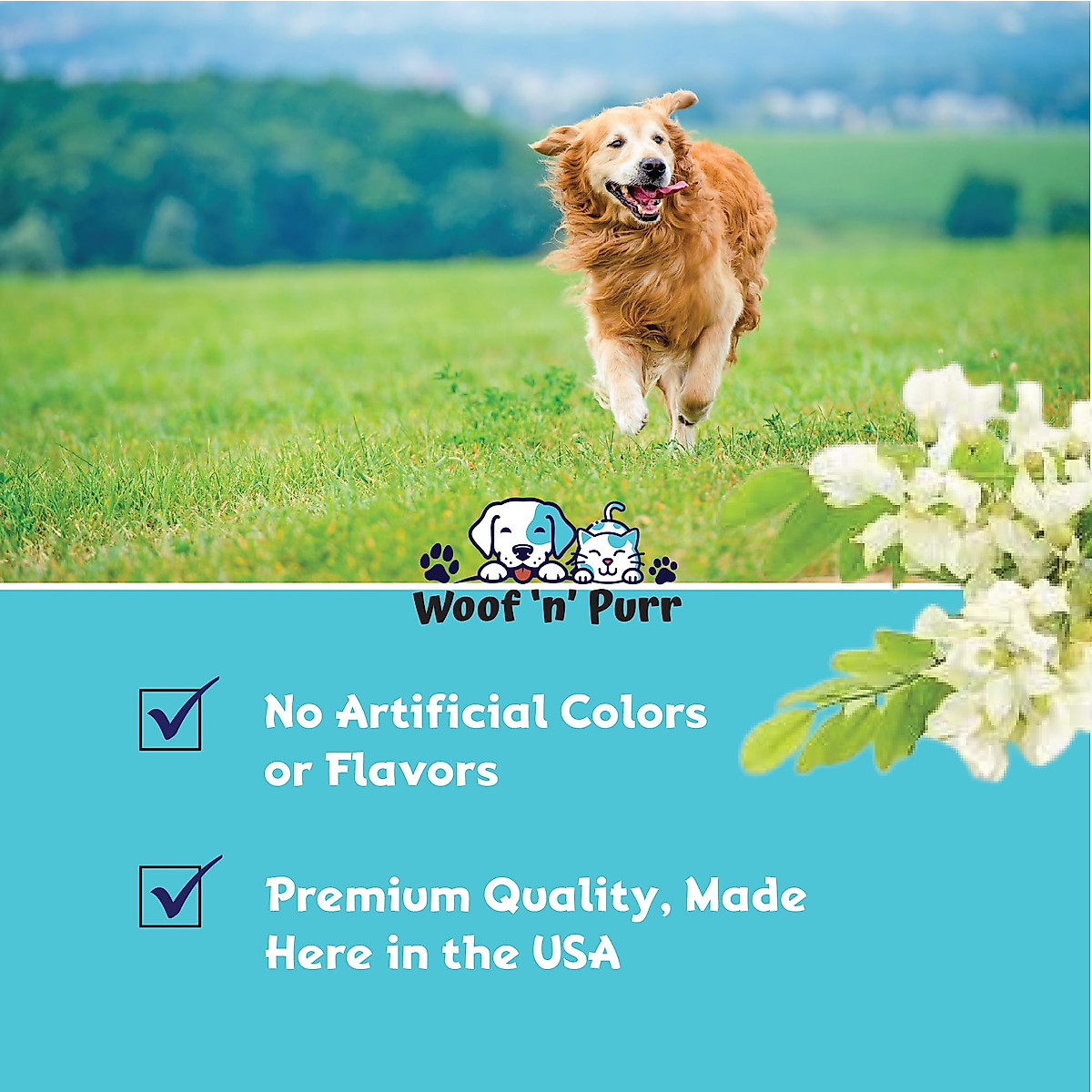 Dog Multivitamin - Multivitamin for Dogs - Helps to Support a Healthier Life - Dog Vitamins and Supplements - Dog Vitamins Multivitamin - Dog Supplements & Vitamins - 1 fl oz - Bacon Flavor