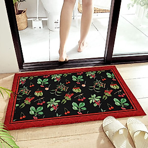 Red Cherry Farmhouse Fruit Luxurious European Flowers Bath Mats for Bathroom Non-Slip Absorbent Soft Plush Doormat Decor Rugs for Kitchen Bedroom Floor Mat 24" X 16"