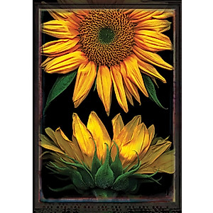 Toland Home Garden 101193 Sunflowers On Black Fall Garden Flag 28x40 Inch Double Sided for Outdoor Summer House Yard Decoration
