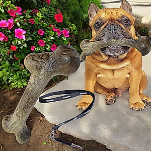 Suretails Dinosaur Barkbone Chew Toy, 2.4 Oz, Bundled Ss Pet Training Whistle, Dog Toys Peanut Butter Flavor, Wood Dog Bone for Medium Dogs, Safer & Material~ [Pack of 2]