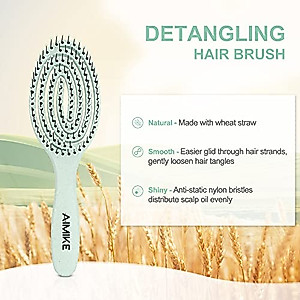 AIMIKE Detangling Hair Brush, Vented Detangler Brush for Curly, Thick & Knotted Hair, No Pull Detangling Brush w/ Flex Soft Bristles, Glide Through Tangles for Women, Kids, Men, Wet & Dry Hair- Green