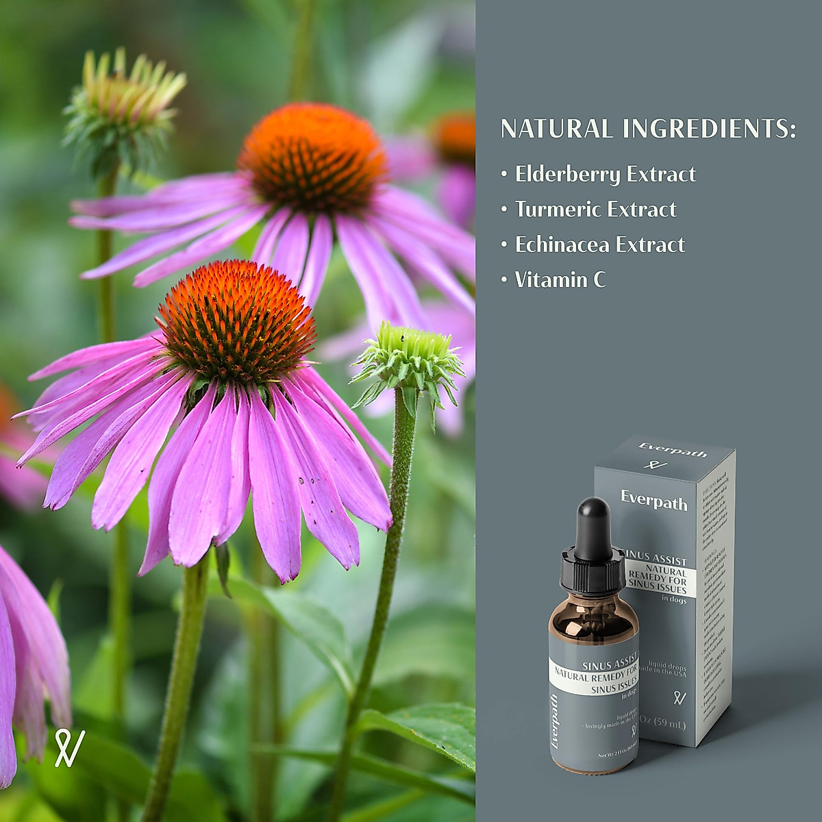 2024 Everpath Upgraded Sinus Support for Dogs - 2 Fluid Ounces/60mls | USA Made | Supports Sinus Health and Relief | Relief for Allergies, Congestion & Acute Sinusitis | Natural Solution for Pets