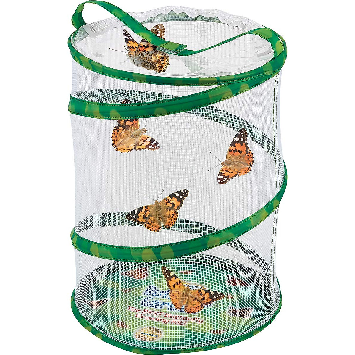 Butterfly Garden with Two Live Cups of Caterpillars - Includes Both English and Spanish Butterfly STEM Activity Journals