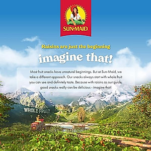 Sun-Maid Vanilla Yogurt Coated Raisins - (10 Pack) 0.5 oz Mini Snack-Size Box - Yogurt Covered Dried Fruit Snack for Lunches and Snacks