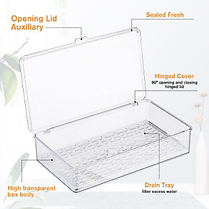 Gandeer 4 Pack Bacon Container for Refrigerator with 2 Acrylic Food Servings Tongs and Drain Plates for Fridge Bacon Holder Deli Meat Cheese Keeper Safe Long Kitchen Food Storage Containers with Lids