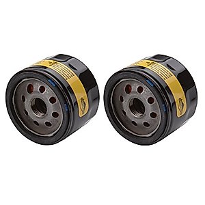 Briggs & Stratton 842921 Pack of 2 Oil Filters