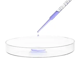 EISCO Petri Dish, 5.9" (150mm) - Beaded Edges Easy to Sterilize for Repeated Use Borosilicate Glass- Eisco Labs