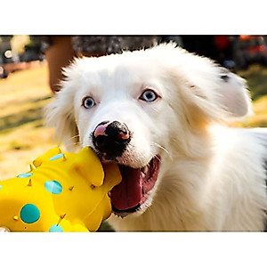 VIMIGOO Latex Grunting Pig Dog Toy, 8'', Environmentally Friendly, Healthy Chew Toy for Small, Medium, Large Dogs