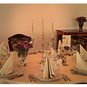 Hyoola Tall Taper Candles - Metallic Gold Dripless Dinner Candle Sticks - Paraffin Wax with Cotton Wicks - 10 Inch (25cm) - 8 Hour Burn Time (24 Pack)