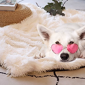 Tuddrom Decorative Extra Soft Faux Fur Blanket Queen Size 80"x90",Solid Reversible Fuzzy Long Hair Shaggy Blanket,Fluffy Plush Fleece Comfy Microfiber Fur Blanket for Couch Sofa Bed,Cream White