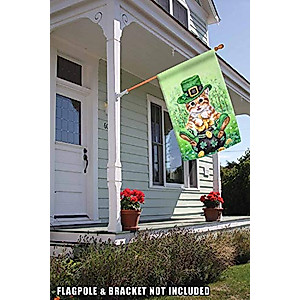 Toland Home Garden 1010806 Clover Kitty St Patricks Day Garden Flag 28x40 Inch Double Sided for Outdoor St Pats House Yard Decoration
