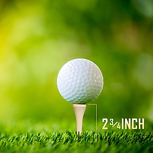 Dsenfurn 250 Pack Professional Bamboo Golf Tees 2-3/4 Inch - Stronger Than Wooden Golf Tees Biodegradable & Less Friction (Nature, 2-3/4")