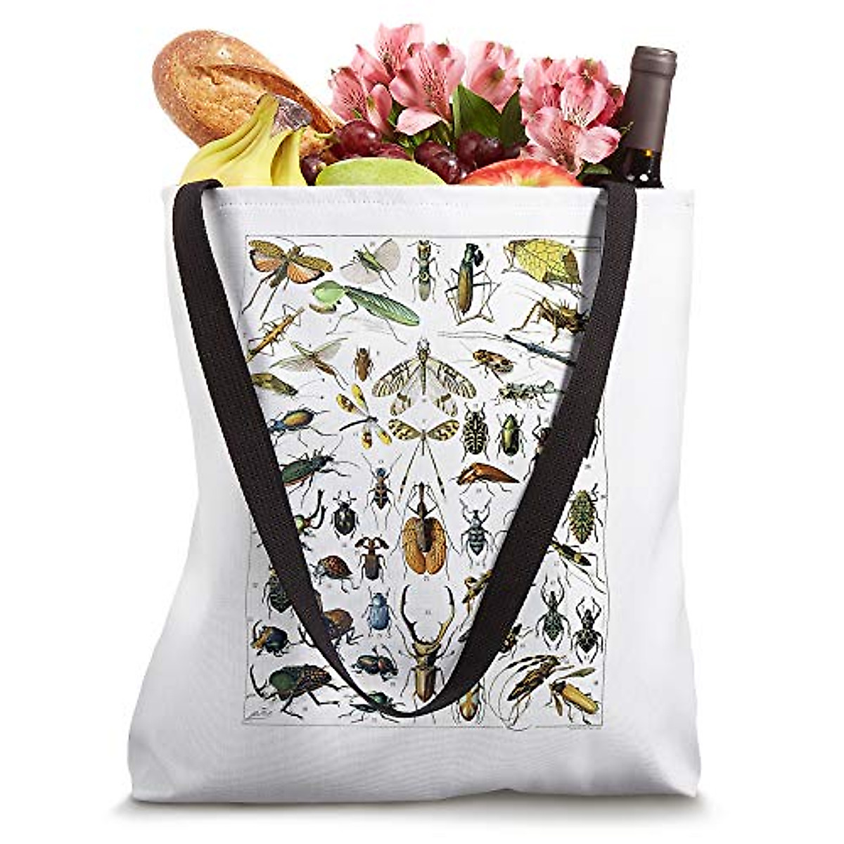 Insects Insect Bug Vintage Entomology Print gift Bug Print Tote Bag