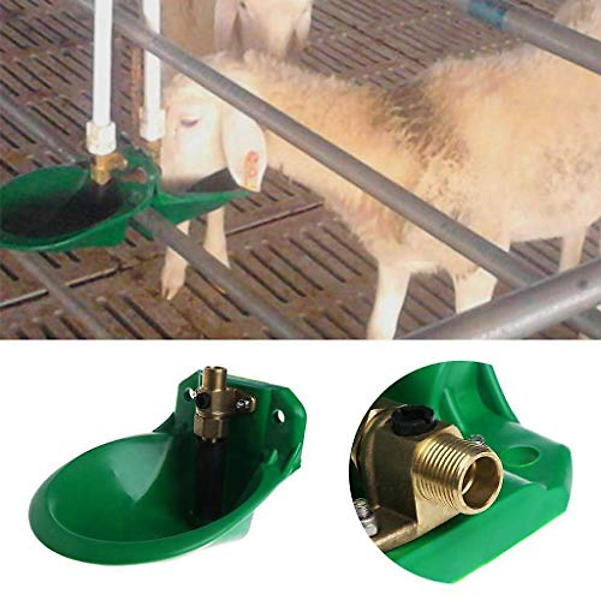 Yougoo Automatic Waterer Bowl Goats Waterer Sheep Drinking Water Bowl Livestock Drinker Bowl for Piglet Cattle Dog, Green