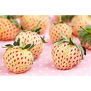 White Strawberry Seeds - 200+ Seeds - White Pineberry Seeds - Made in USA, Ships from Iowa.