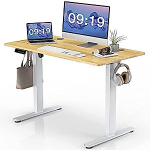 SMUG Height Adjustable Electric Standing Desk, 48 x 24 Inches Sit Stand up Desk Home Office Computer Desk, Ergonomic Desk with Memory Controller Standing Table Natural