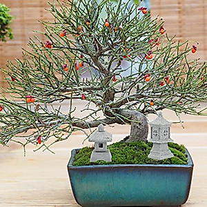 Operitacx 3Pcs Pagoda Tower Statue Mini Pagoda Model Miniature Pagoda Figurine Fish Tank Aquarium Landscape Ornament Zen Garden Bonsai Flowerpot Decoration