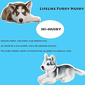 ELAINREN Lifelike Furry Husky Stuffed Animals Realistic Huskies Plush Toy Simulation Siberian Husky Plushie Dolls Gifts/11.8''
