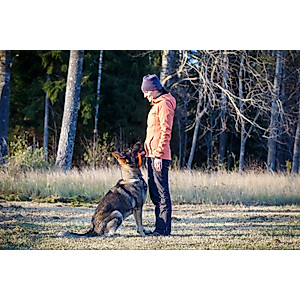 PlayfulSpirit Durable Natural Rubber Ring - Great Tug of War Dog Toy, Fun for Throw, Chase and Fetch Games, Exercise and Dog Training Toy for Medium to Large Breed Puppies and Adult Dogs (L, Orange)