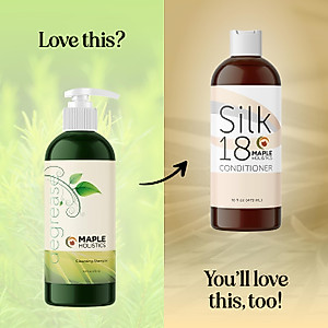 Oily Hair Shampoo for Greasy Hair - Clarifying Shampoo for Oily Hair and Dry Scalp Cleanser for Build Up - Deep Cleansing Shampoo for Oily Scalp Toner with Purifying Essential Oils for Hair Care