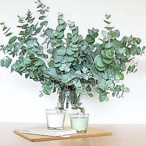 Cork Trivets for Hot Dishes, Trivets for Hot Pots and Pans 11 3/4 x 7 3/4 inches 2 Pcs, Hot Pad Mats for Kitchen Table, Large Coaster to Protect Countertop, Cooking Pot Holder (2 Rectangular)