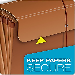 Globe Weis /Pendaflex Heavy Duty Expanding File with Flap, 12 Monthly Pockets, 1/3 Cut Tabs, Brown, Letter Size (R117MLHD)