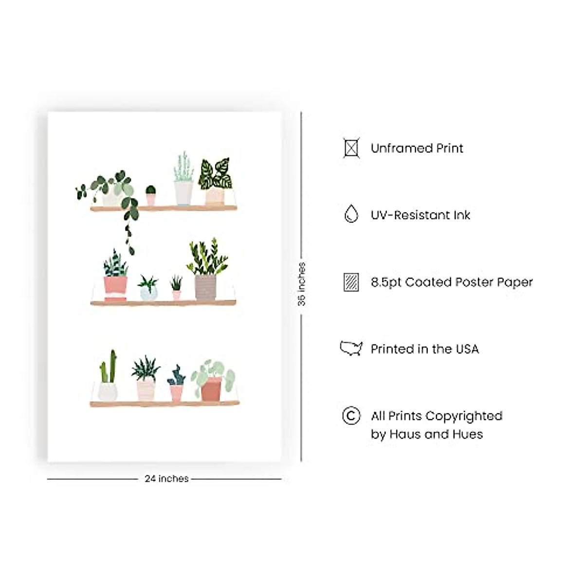 HAUS AND HUES Plant Pictures Wall Art - Succulent Art Wall Decor, Plant Prints Wall Art & Botanical Plant Wall Art Prints, Cactus Poster Botanical Flower pots on Shelves (24x36 Unframed)