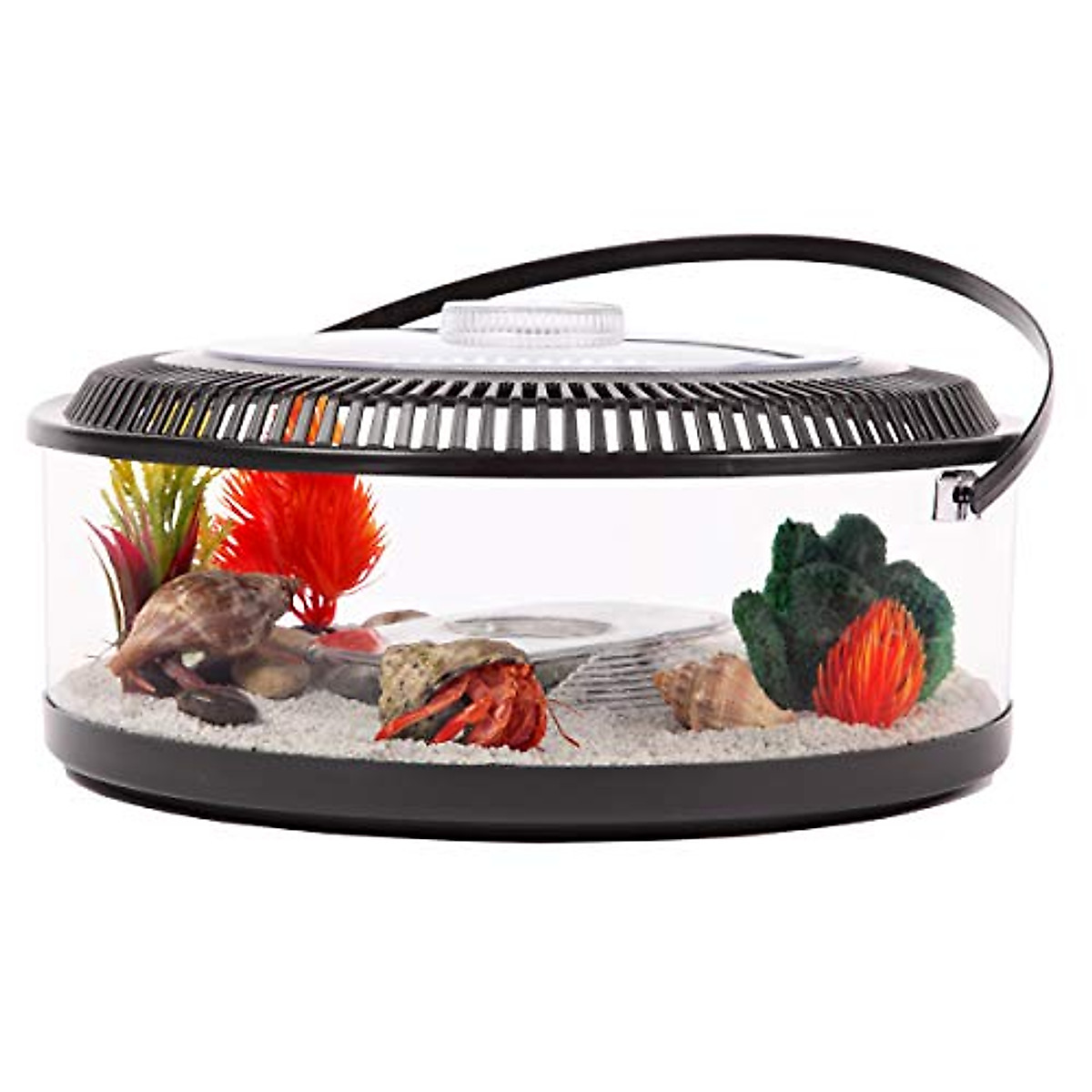 Repitat Reptile Carrier with Cover and Handle