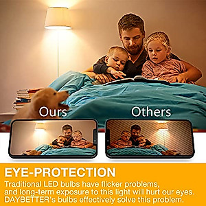 DAYBETTER Vintage LED Edison Bulbs 60 Watt Equivalent, ST58 Antique LED Filament Light Bulbs, Dimmable Led Bulb with E26 Medium Base, Warm White 2700K, Brightness 8W, 800LM, Clear Glass, 3 Packs