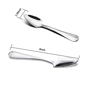 Set of 10, Grapefruit and Dessert Spoon, findTop Stainless Steel with Serrated Edge Spoons, 6-inch