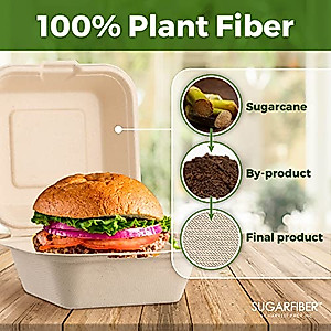 Harvest Pack GOURMET SHOWCASE [50 COUNT Sugarfiber 6 X 6 PFAS FREE Compostable Square Hinged Container, Single Compartment Clamshell Takeout Box, Made from Eco-Friendly Plant Fibers, No PFAS Added