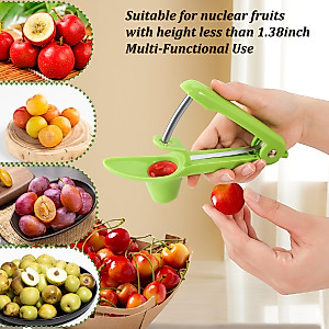 EWPJDK Cherry Pitter Tool Pit Remover Heavy-Duty Stainless Steel Olive Pitter Tool for Making Cherry Jam (Black)