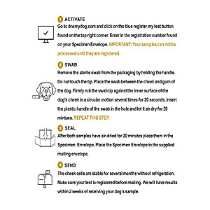Dna My Dog Genetic Testing Kit – Essential Breed ID Test Mixed Breed Identification, Personality Traits – for Puppies to Adult Dogs, Non-Invasive Cheek Swab