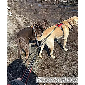 Mycicy Double Dog Leash Coupler, Tandem Leash for Two Dogs, No Tangle 360° Swivel Rotation Dual Strong Dog Leash Splitter, for Large Medium Small Dogs (33inch)