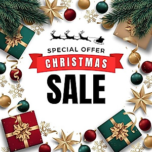 Magnetic Drywall Screw Setter Bit Set | Premium 12pc SET/w Storage Case and Bit Holder - Impact Ready 1/4in Hex Shank Phillips Head PH2 Drill Driver Bits with Magnetic Collars for Drills