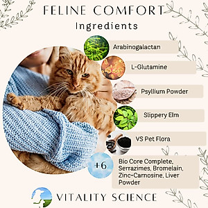 Vitality Science - Gastro Prime Combo for Cats | Supports Normal GI Function and Improves Nutrient Assimilation