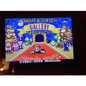 Game & Watch Gallery 4