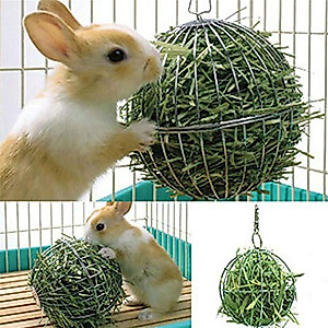 NEISHUI Stainless Steel Ball for Plating Pet Hay Manger Food Ball Rabbit Hamster Grass Rack(Not Including hay)